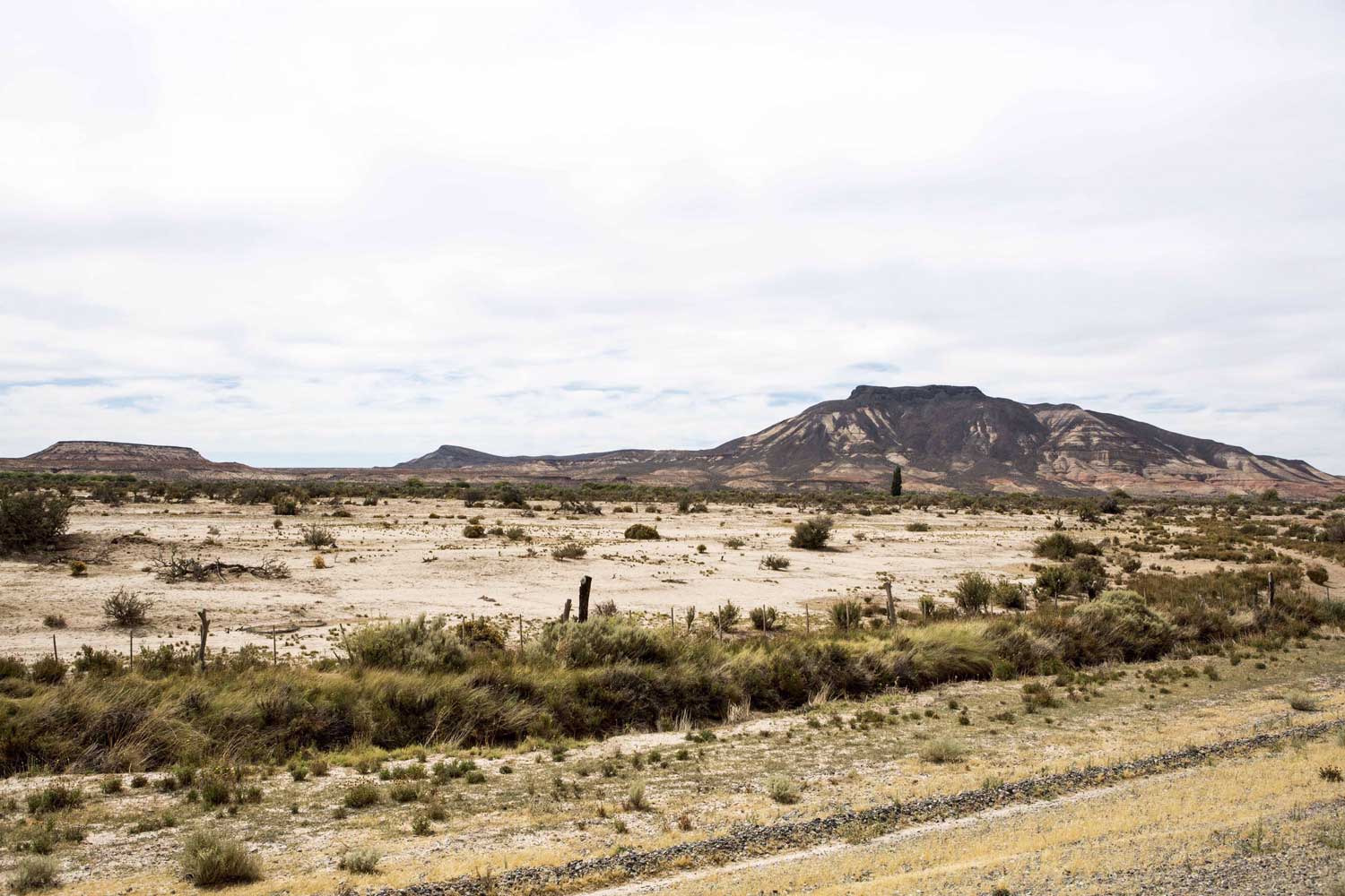 Patagonia {150} – Melin Tregwynt